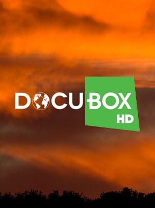 DocuBox HD онлайн дивіться на Prosto TV