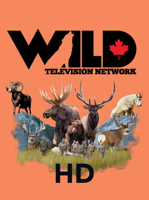 Wild TV онлайн дивіться на Prosto TV