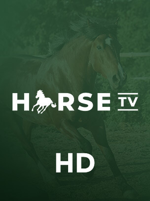 Horse TV HD онлайн дивіться на Prosto TV
